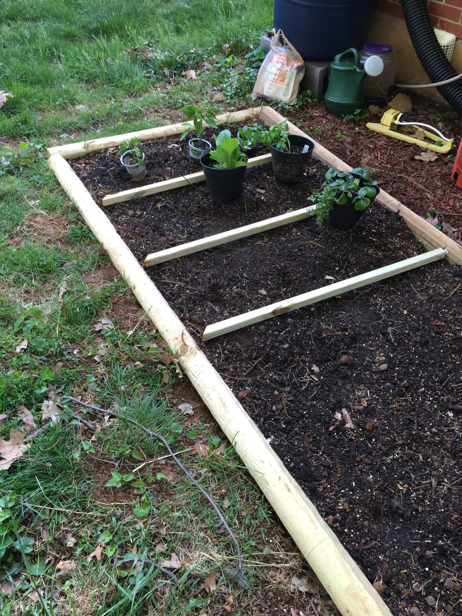 Setup a Garden in your Backyard