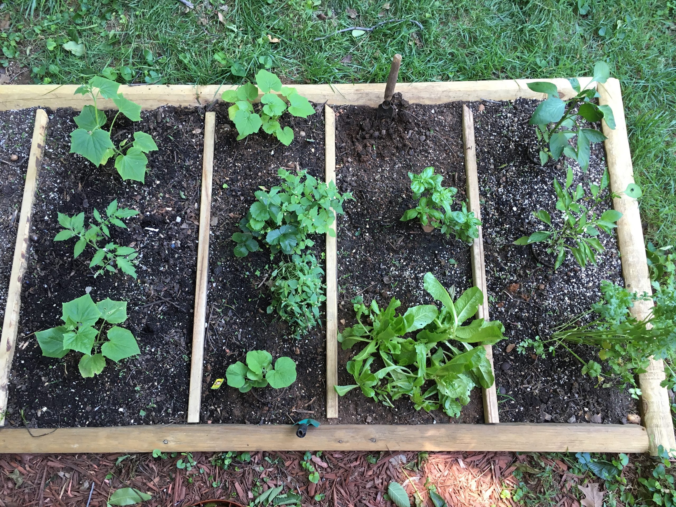 Setup a Garden in your Backyard